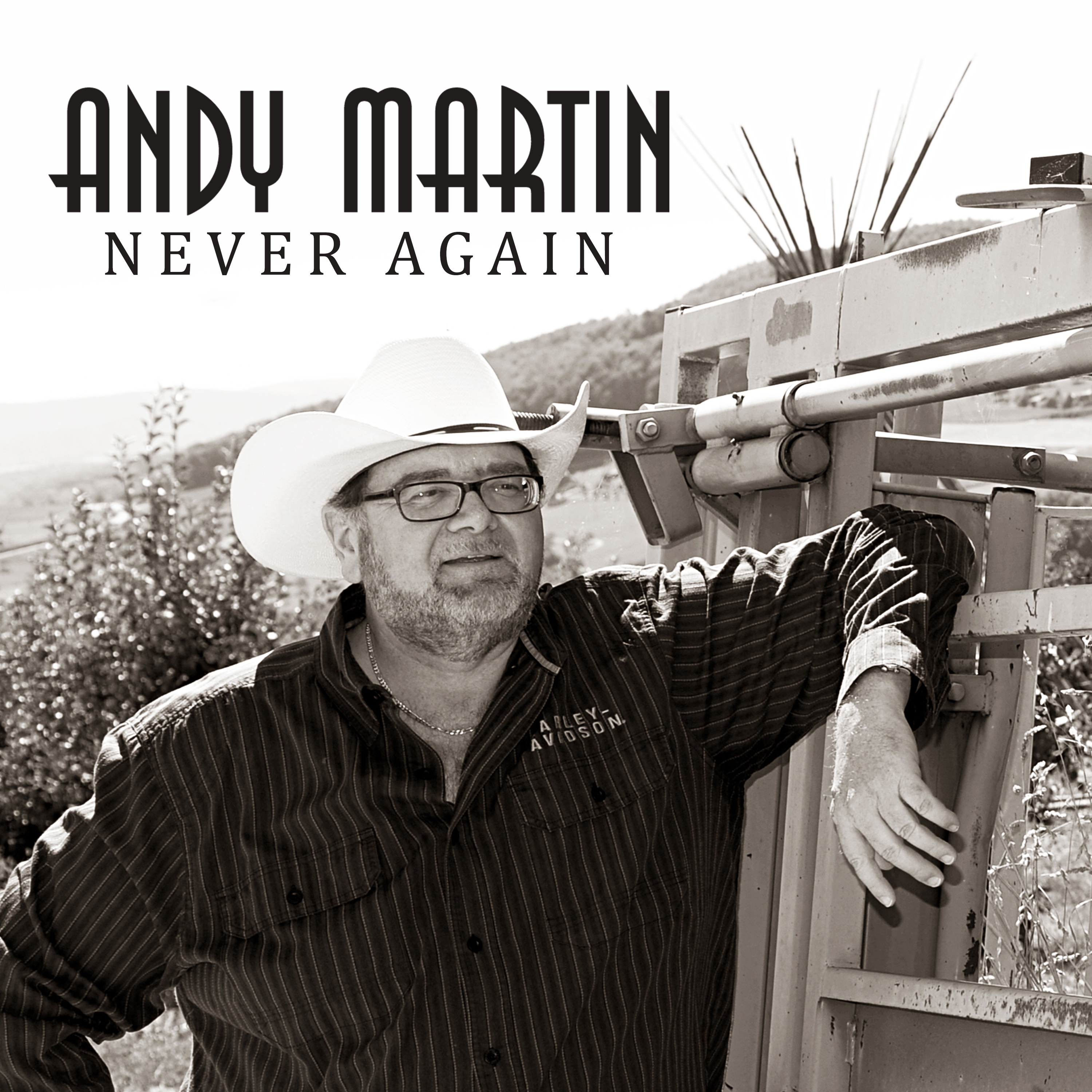 Andy Martin - Never Again